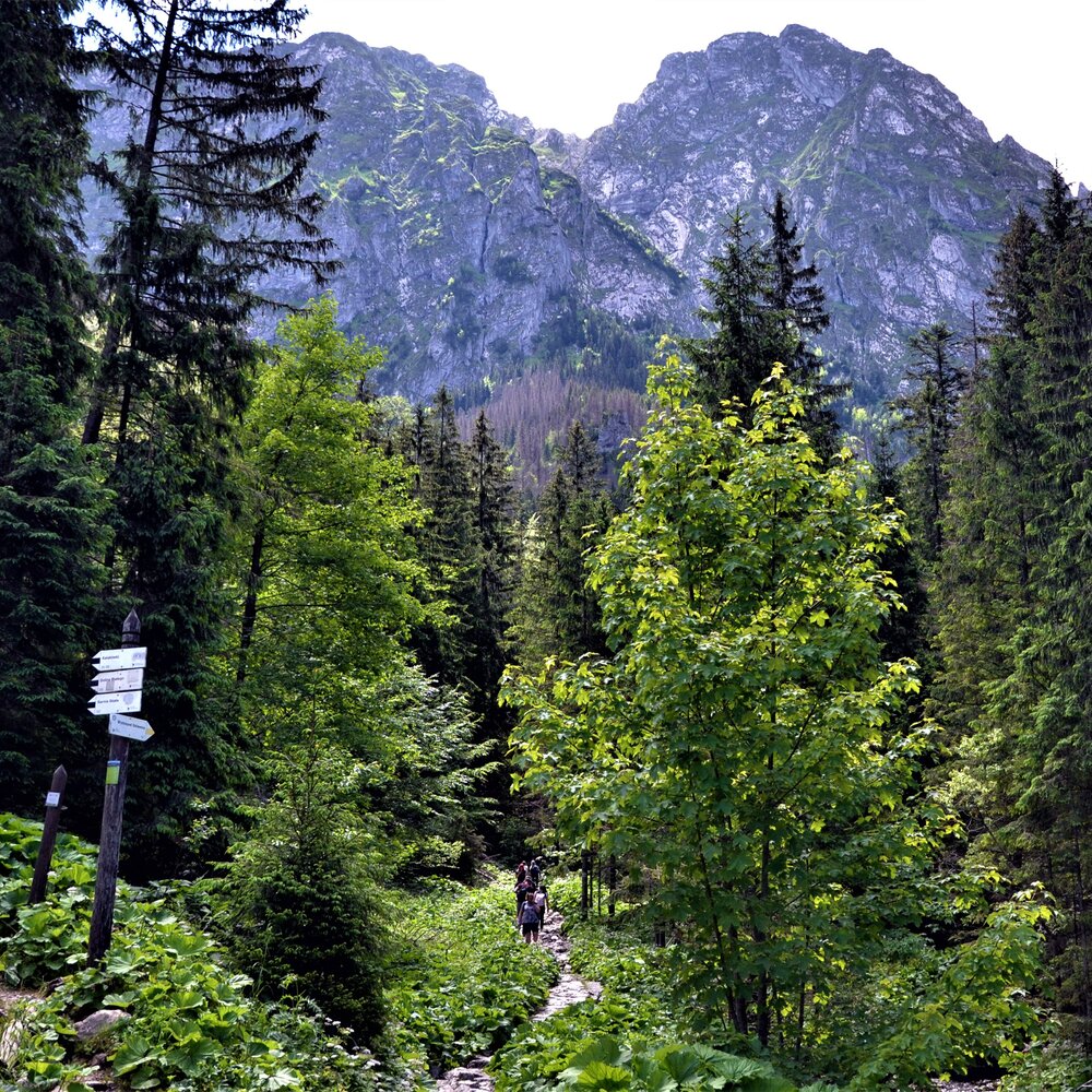 Vodopád Siklawica | Slevomat.cz