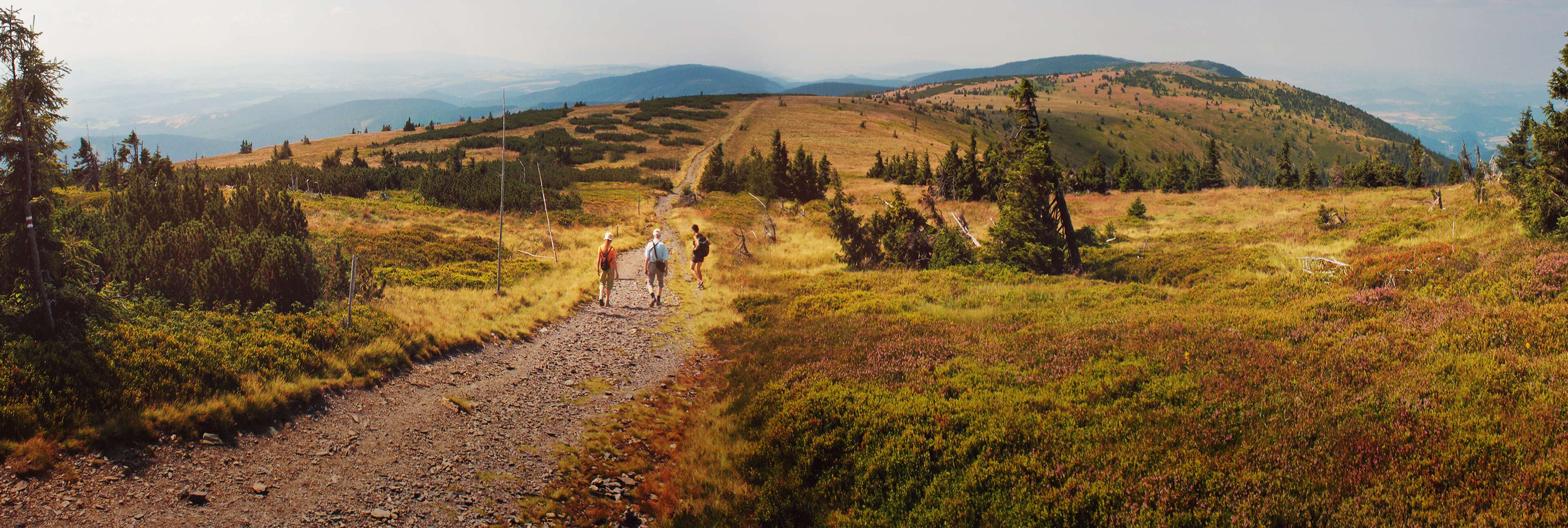To nejlepší z Jeseníků: Lázně, Dlouhé stráně i Praděd | Slevomat.cz