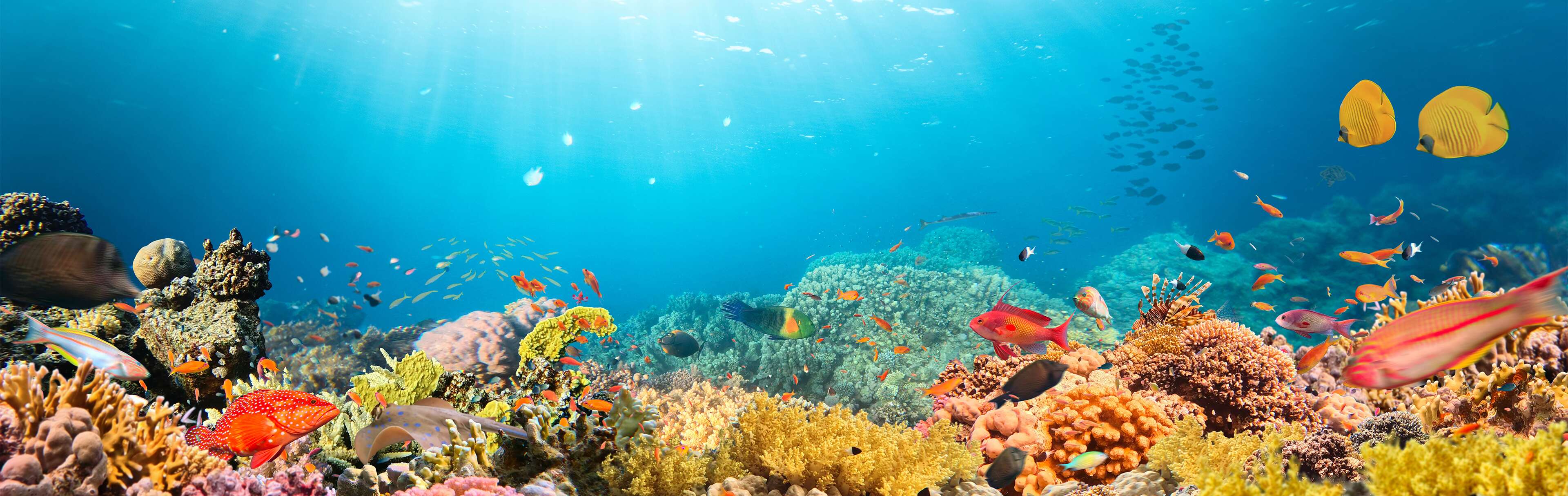 Kam do Egypta na dovolenou? Nejlepší letoviska a památky | Slevomat.cz