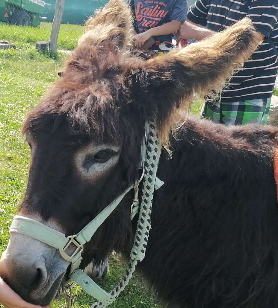 Oslí stezka | Slevomat.cz