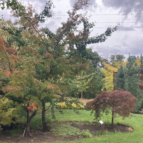 Centrum řemesel a zahrady Botanicus Ostrá | Slevomat.cz
