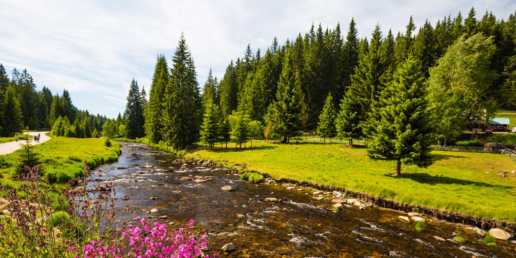 Objevte NP Šumava: Nejlepší místa na výlety i zážitky | Slevomat.cz